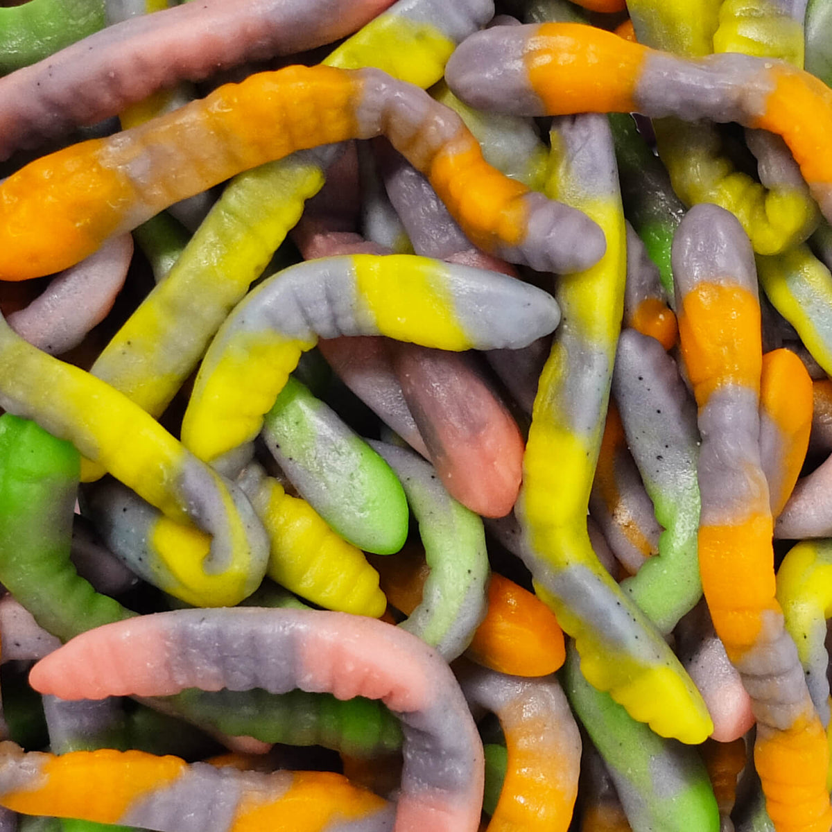 Serpents gommeux – Ludik Candy