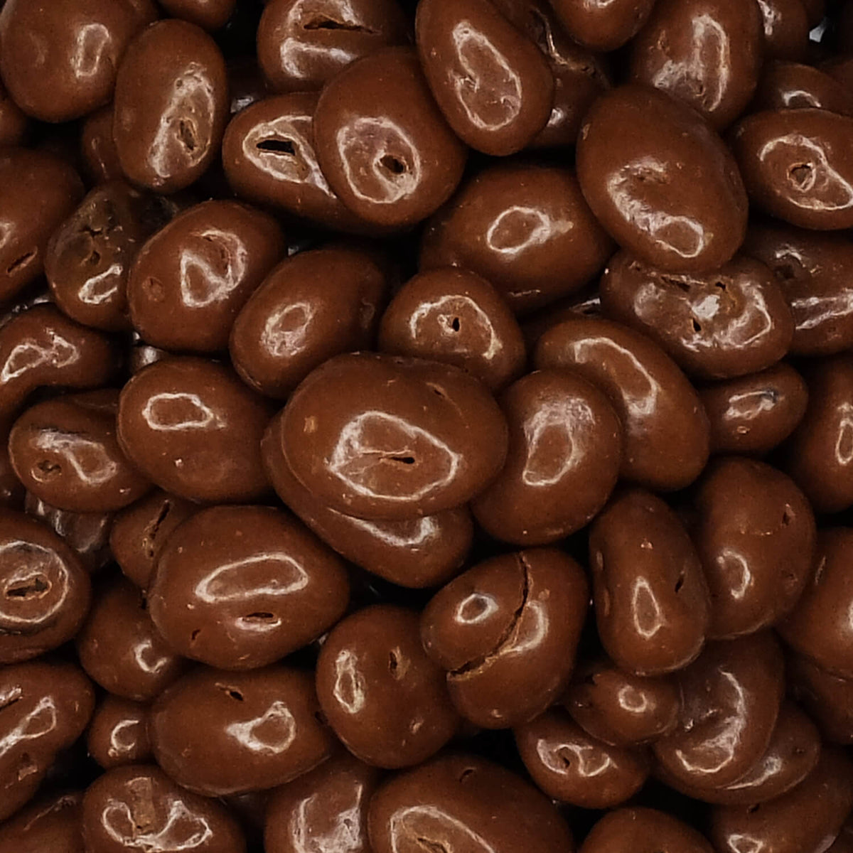 Milk chocolate raisins – Ludik Candy
