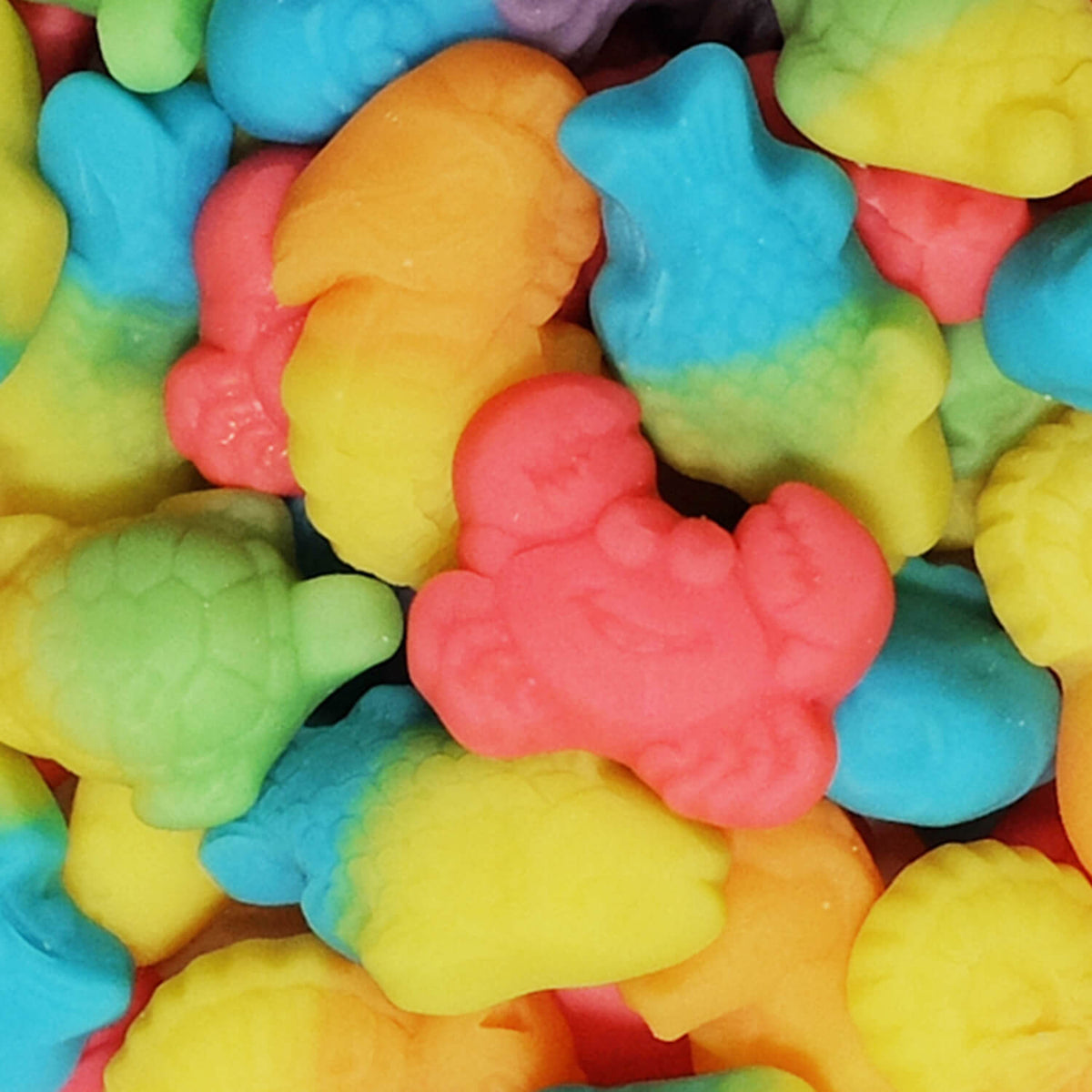 Ocean assorted creatures – Ludik Candy